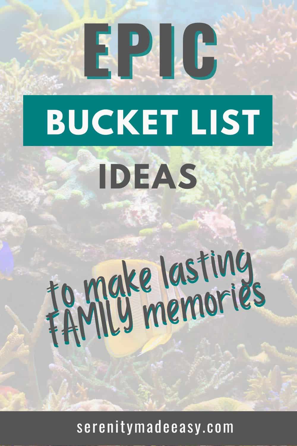 Family bucket list experiences to make the best memories - Serenity ...