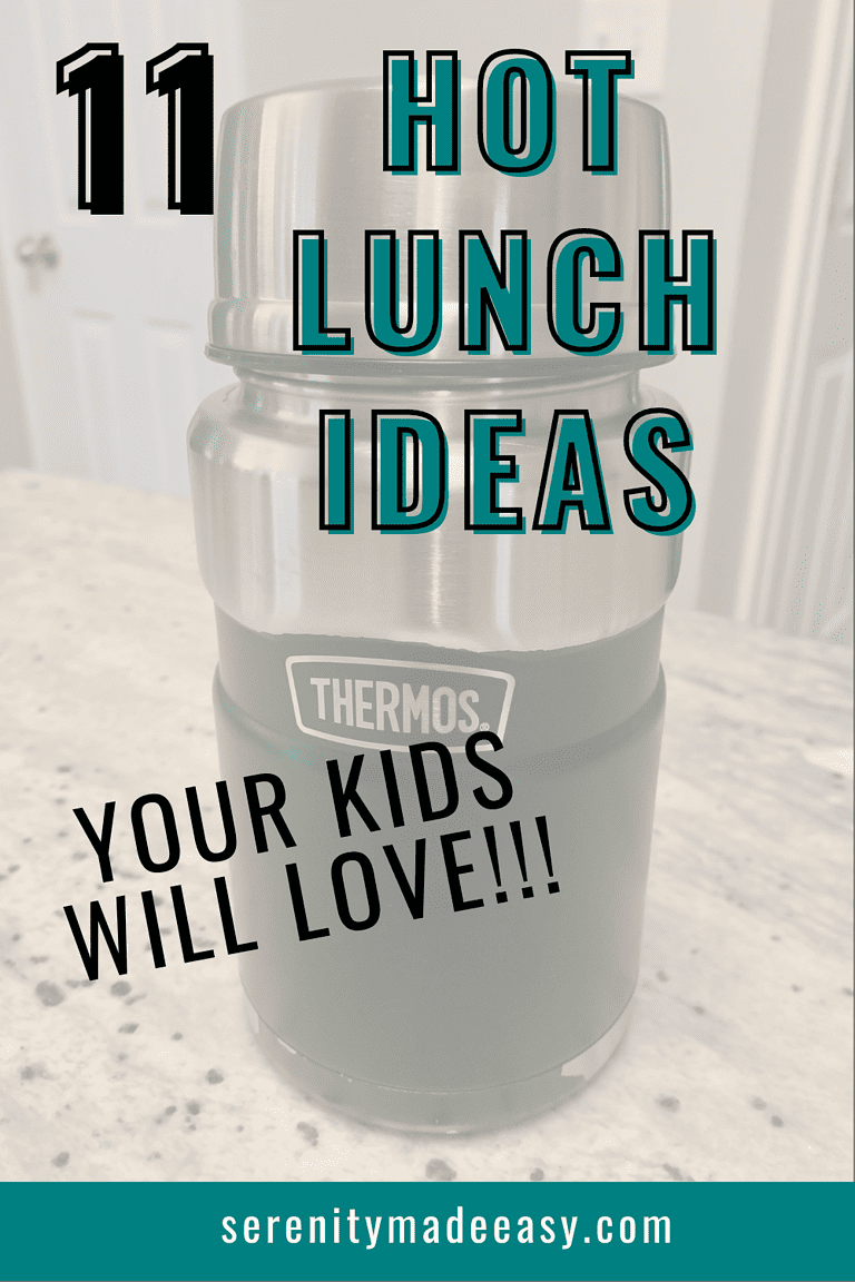 11 hot lunch ideas for School your kids will love - Serenity Made Easy